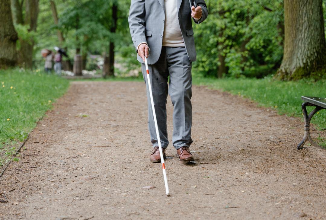 White Canes - Everything you need to know